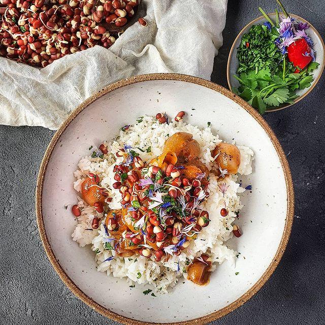 Mystery Seeds (3 Packets) – Sproutie