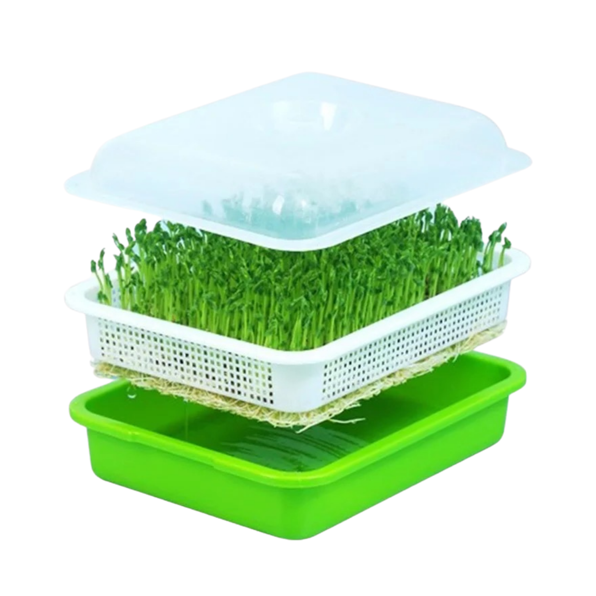 Growing supplies – Sproutie