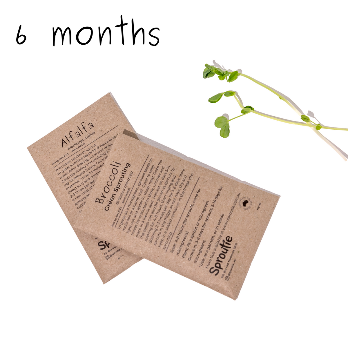 Seed Subscription (6 months prepaid) – Sproutie